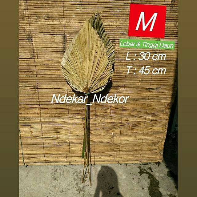 Jual Dried palm || Daun palem kering || Daun rustic | Shopee Indonesia