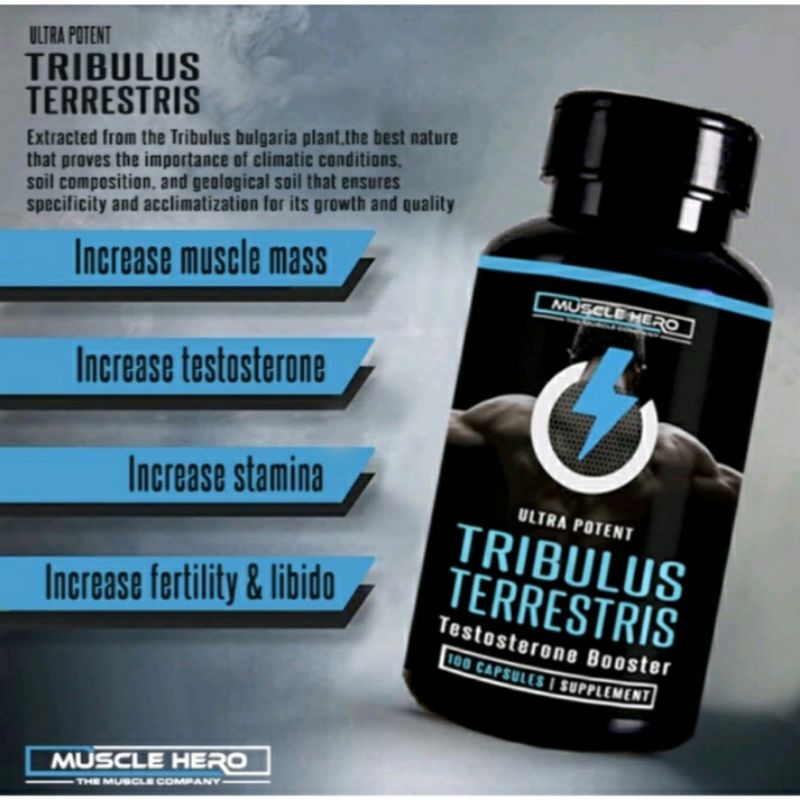 Jual Tribulus Ultra Potent By Muscle Hero - Tribulus Terrestris ...