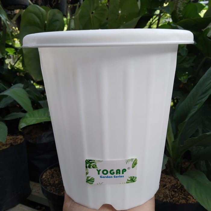 Jual POT BUNGA YOGAP YPT 13 PUTIH UK 15 MODEL TINGGI TEBAL BERKUALITAS ...