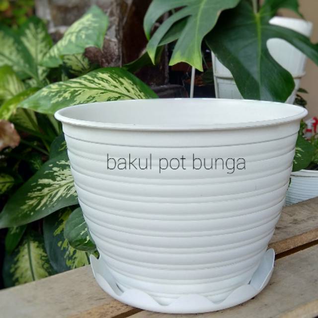 Jual Pot Tawon dan Pot Bunga Tawon 27 + Tatakan Bawah | Shopee Indonesia