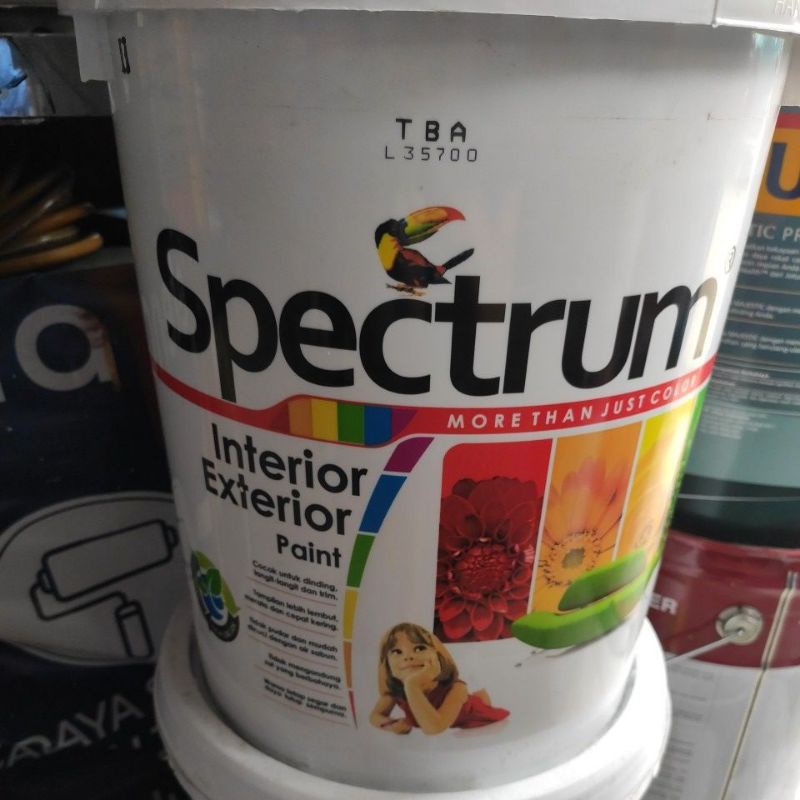 Jual CAT TEMBOK SPECTRUM CUSTOM WARNA TERTENTU PAIL | Shopee Indonesia