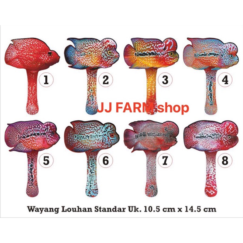Jual wayang ikan louhan full aclyric stick full kuat ukuran besar ...