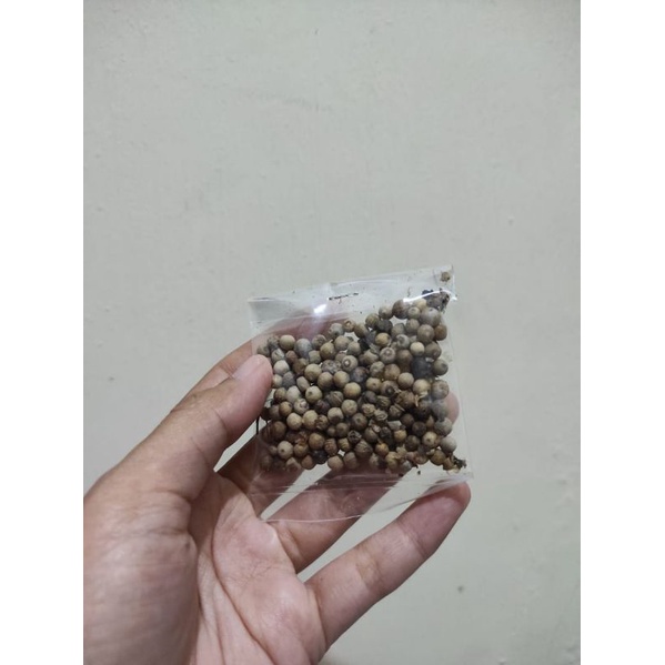 Jual Laris Rempah. Lada Putih. Merica butir. Butiran Mericca | Shopee ...