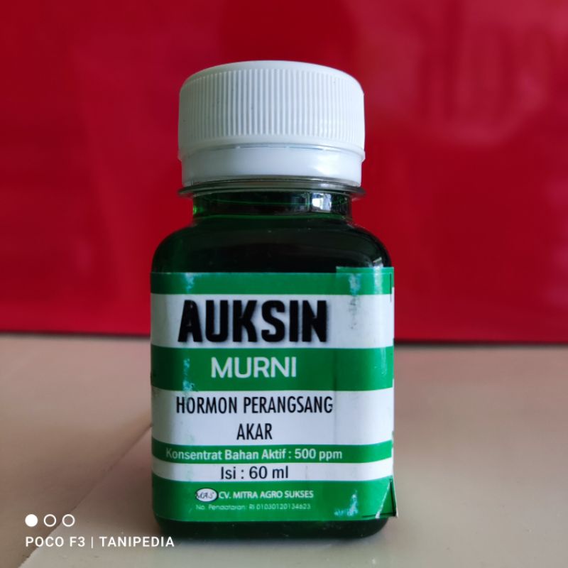 Jual AUKSIN Murni 60 ml - ZPT Hormon Tanaman Pemacu Akar Auxin - Auksin ...