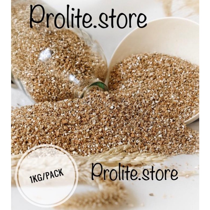 Jual Butsu | Vermiculite 1Kg | Shopee Indonesia