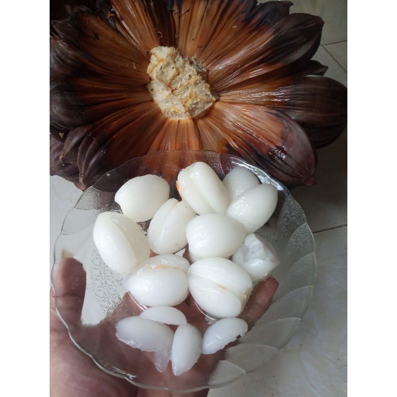 Jual buah nipah atau buah dahon rawa segar 1000gr | Shopee Indonesia