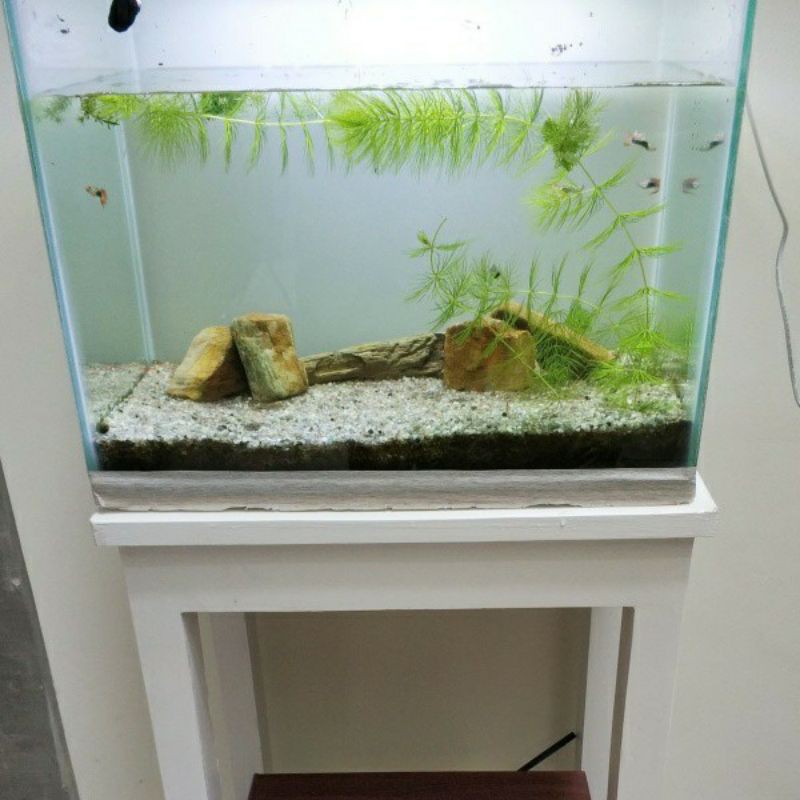 Jual meja aquarium p=50 L=30 T=70 | Shopee Indonesia