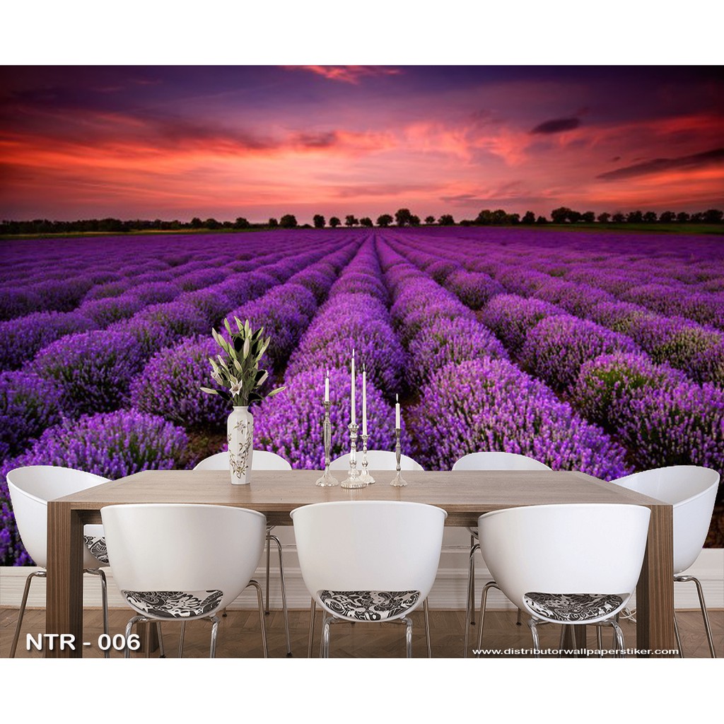 Jual Wallpaper dinding 3D Wallpaper lavender Wallpaper pemandangan ...