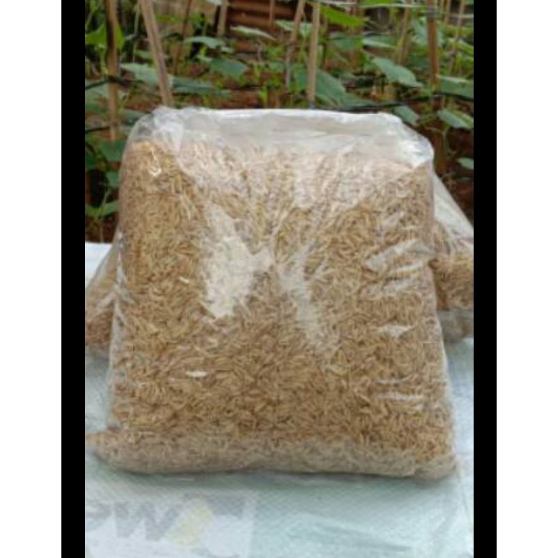 Jual Media Tanam Sekam Mentah / Kulit Padi 500gr | Shopee Indonesia