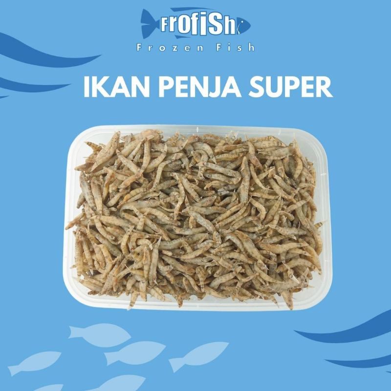 Jual Teri Penja Super, Ikan Seribu Khas Sulawesi Barat, Putih Bersih ...