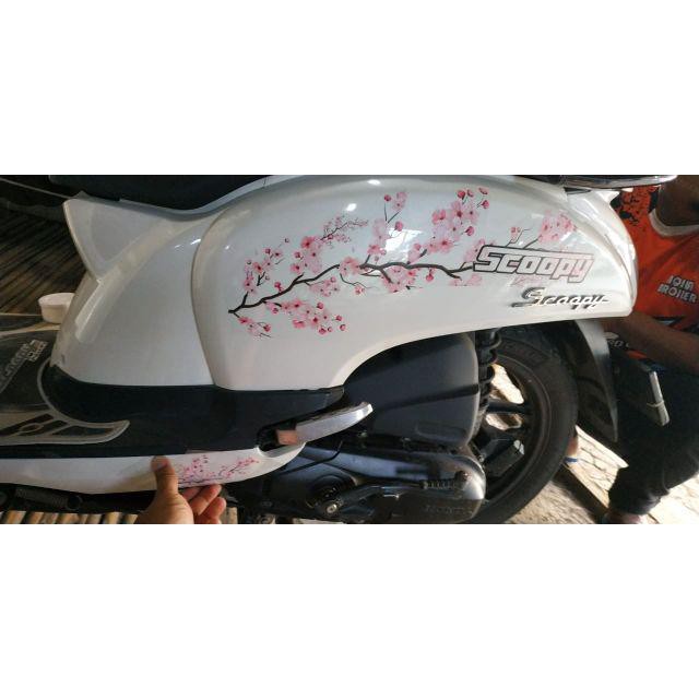 Jual Striping simpel scoopy bunga sakura | Shopee Indonesia