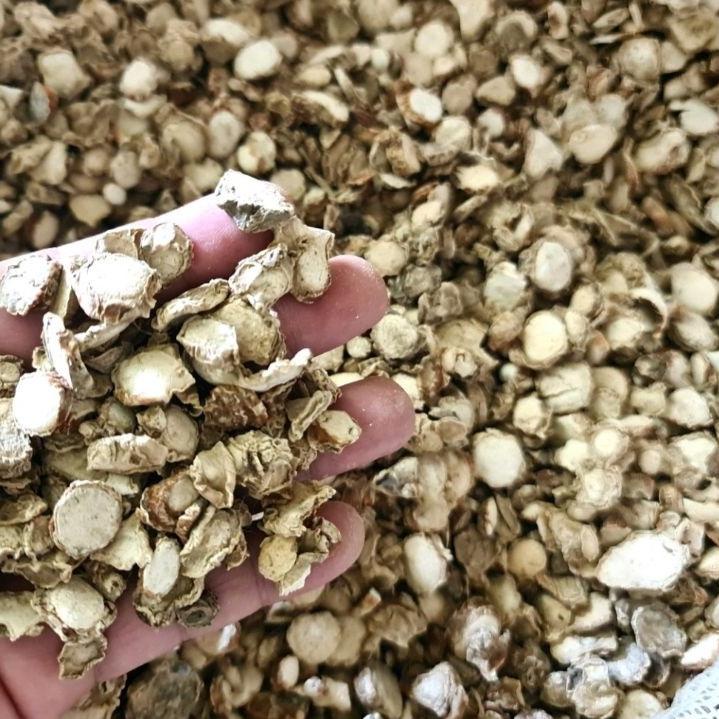 Jual Kekinian Kencur Kering 500gr - Kencur Iris Rajang Kering Kualitas ...