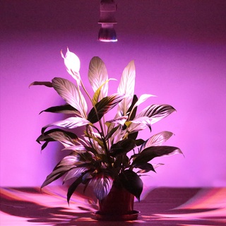 Jual Lampu Grow Light Lampu Cahaya Tanaman Tumbuhan Hidroponik LED Indoor Plant Growth E27 8/18 ...