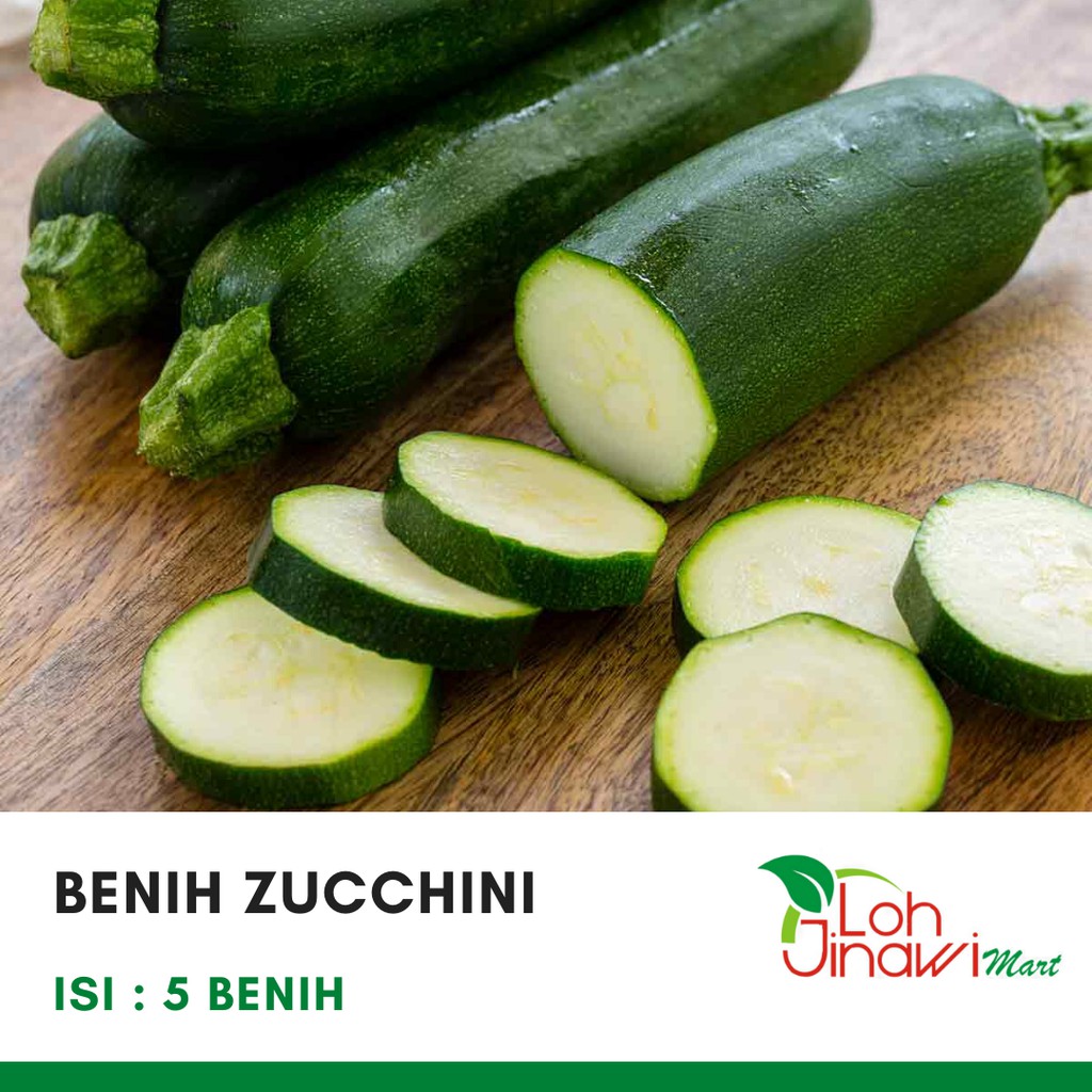 Jual Benih Biji Seed Sayur Zuchini Isi 5 Benih Zukini Zucchini Murah ...