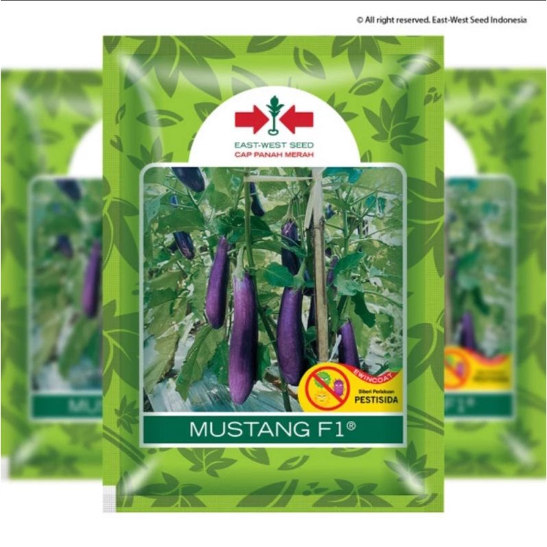 Jual BENIH TERONG UNGU MUSTANG F1 1100 BUTIR - KEMASAN PABRIK CAP PANAH MERAH 1100 BIJI | Shopee ...