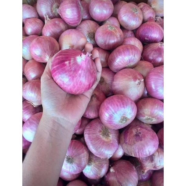 Jual BAWANG MERAH INDIA 1KG | Shopee Indonesia
