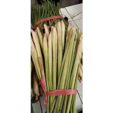 Jual Serai / Sere Besar 250 gr | Shopee Indonesia