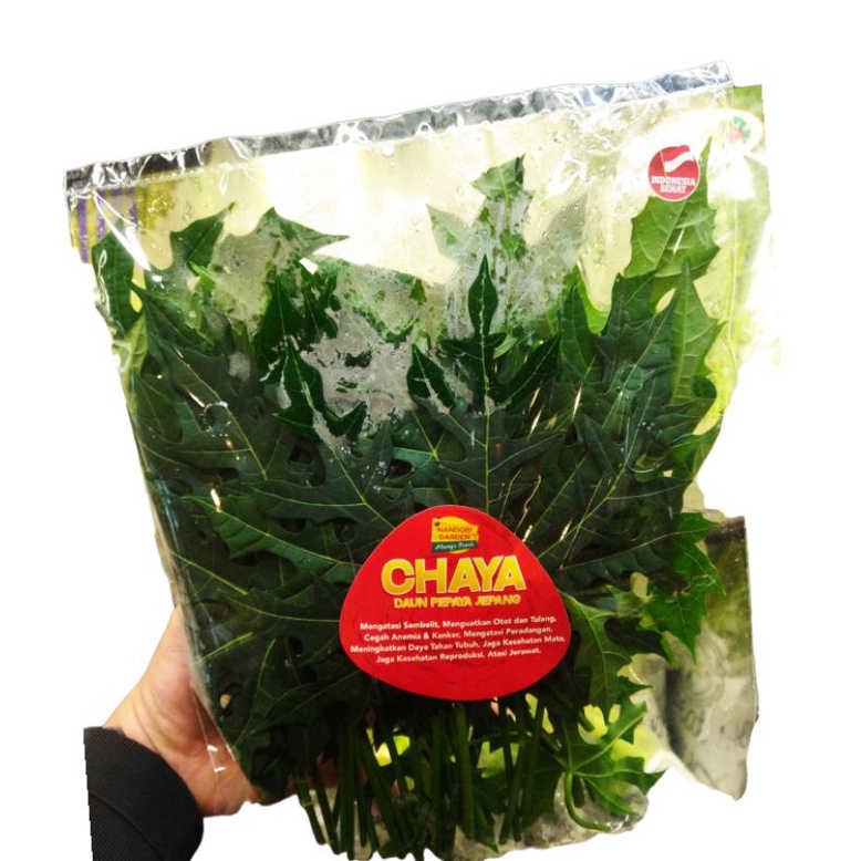Jual Daun pepaya jepang segar | daun sayur pepaya fresh | pack | Shopee ...