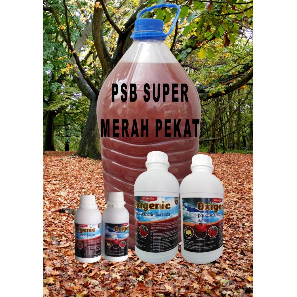 Jual PSB oxigenic photosynthetic bacteria (Pupuk Organik Cair) | Shopee ...