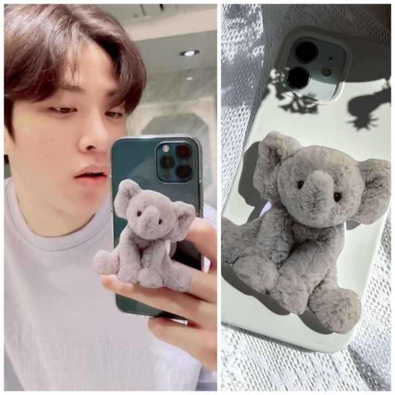 Jual TREASURE JUNGHWAN GRIPTOK / POP SOCKET GAJAH ELEPHANT | Shopee ...