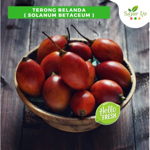 Jual Terong Belanda 480 - 500 Gram Fresh Terung Belanda Buah Lokal ...