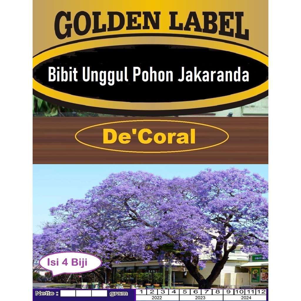 Jual Bibit Unggul Pohon Jakaranda| Benih Pohon Jacaranda| Bibit ...