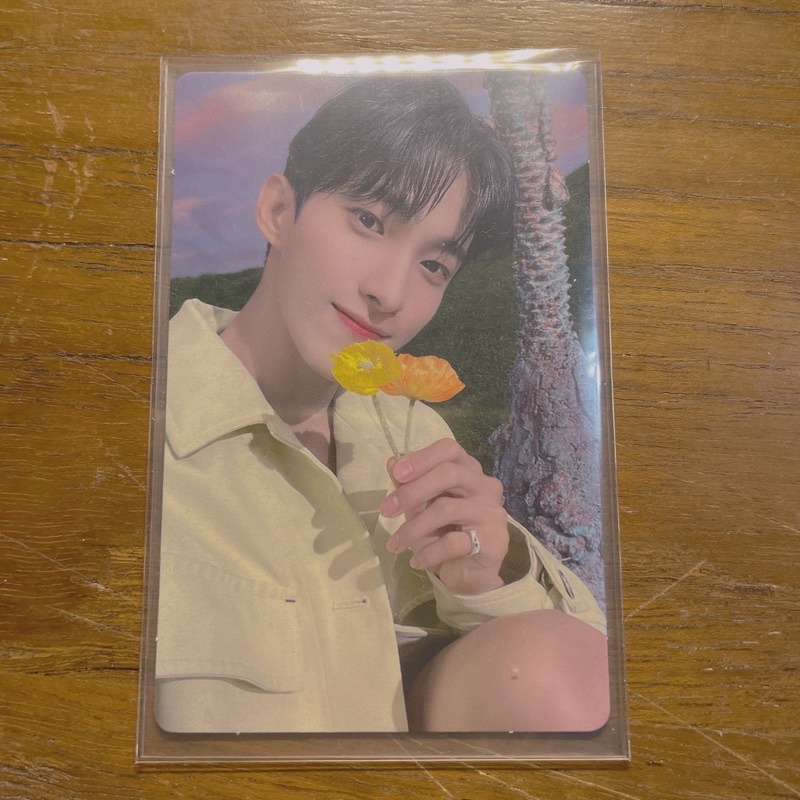 Jual SEVENTEEN 4th ALBUM ' FACE THE SUN ' PHOTOCARD PC CONTROL SHADOW RAY PATH PIONEER WONWOO ...