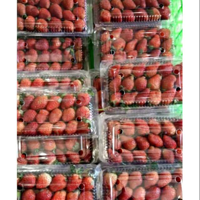 Jual Strawberry per pack | Shopee Indonesia
