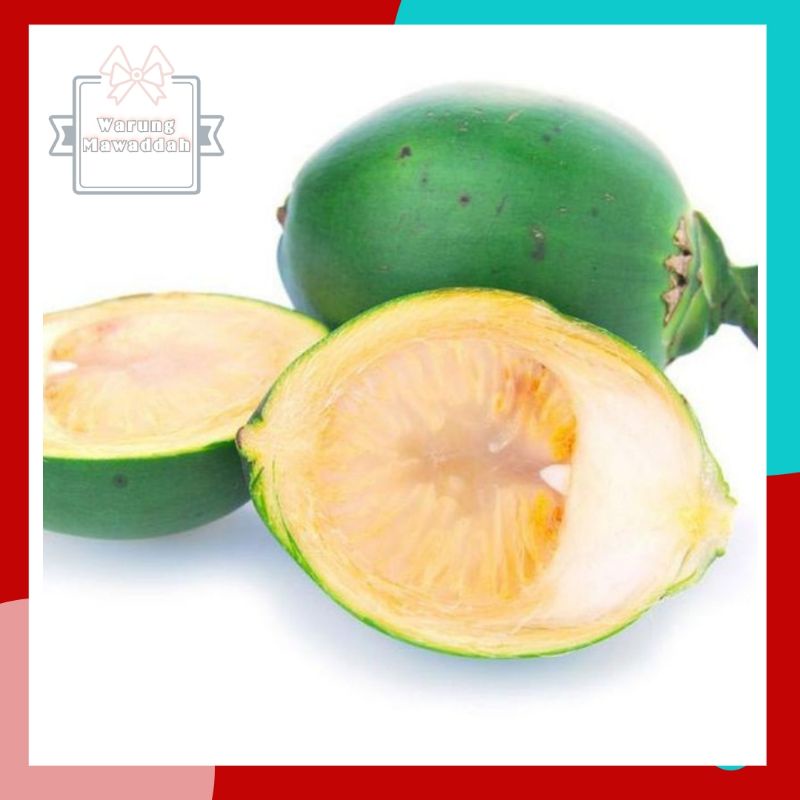 Jual PINANG MUDA / JAMBE MUDA | Shopee Indonesia