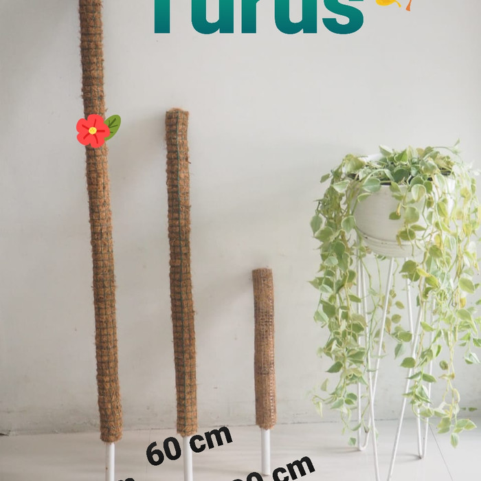 Jual turus penyangga tanaman 90 cm | Shopee Indonesia