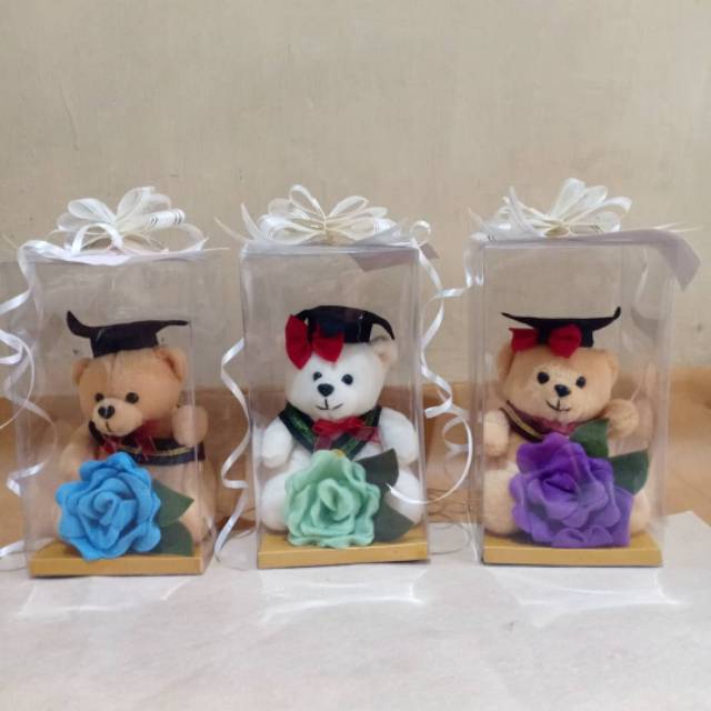 Jual BOX BONEKA / HADIAH WISUDA/ BONEKA WISUDA | Shopee Indonesia