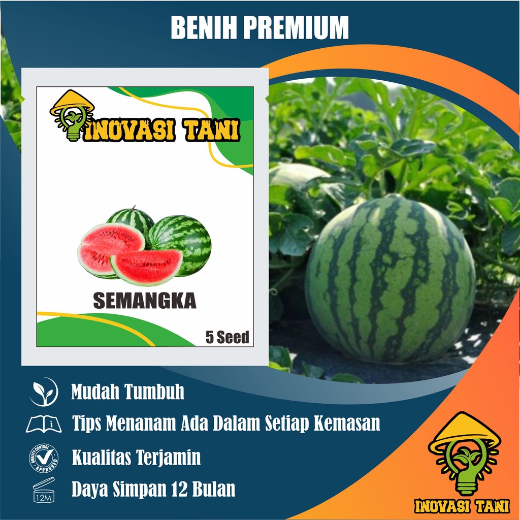 Jual BENIH BIBIT BIJI TANAMAN BUAH SEMAGKA UNGGUL Benih Bibit Biji ...