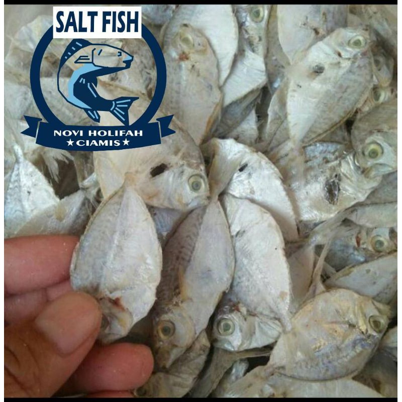Jual ikan pirik / petek kecil 500gram harga termurah | Shopee Indonesia