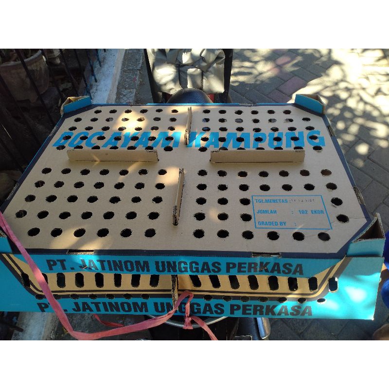 Jual DOC Ayam KUB 1 Box / Ayam Kampung Unggul Balinbangtan/DOC ...