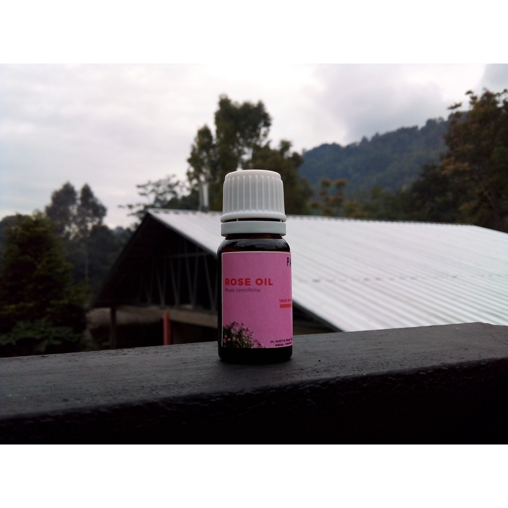 Jual 10 ml sampel - minyak bunga mawar / rose oil (Rosa centifolia ...