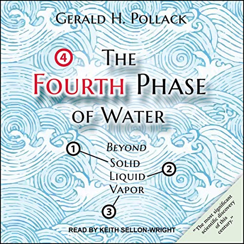 Jual BUKU - The Fourth Phase of Water | Shopee Indonesia