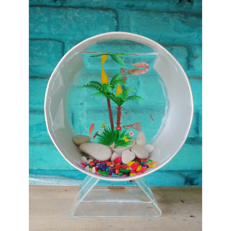 Jual aquarium mini unik akrilik pvc bulat cupang,gapi,neon,ikan hias ...