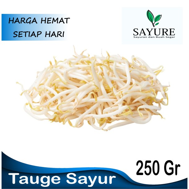 Jual TOGE / TAUGE LOKAL FRESH 250 GR | Shopee Indonesia