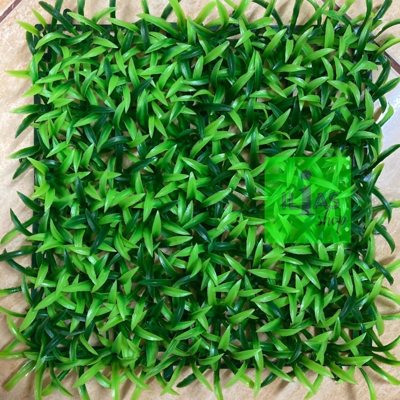 Jual Dekorasi Hiasan Aquarium Replika tanaman rumput Jarum / Gajah HIAS ...