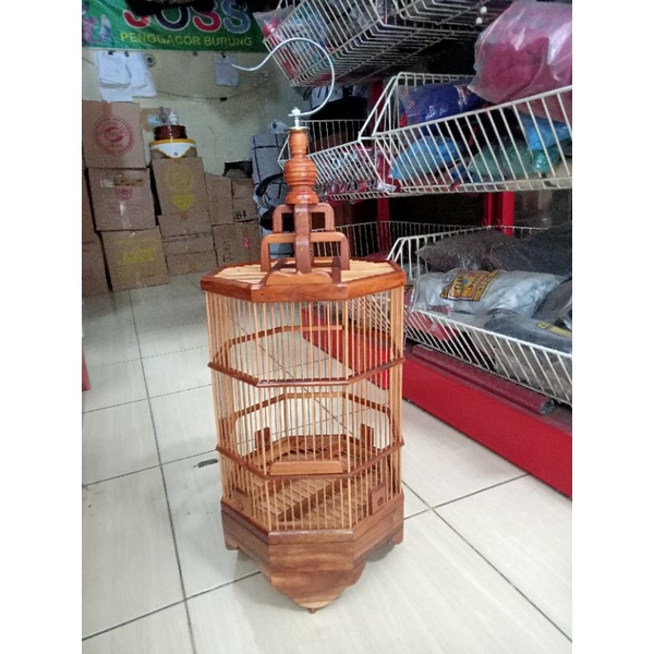 Jual SANGKAR PLECI SEGI 8 | Shopee Indonesia