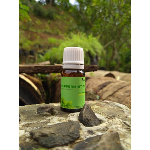 Jual 10 ml sampel - minyak peppermint - peppermint oil (Mentha piperita ...