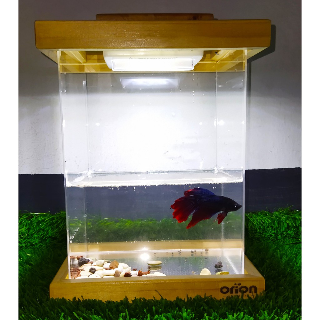 Jual Soliter Akrilik Iron Medium High + LED - soliter ikan cupang ...