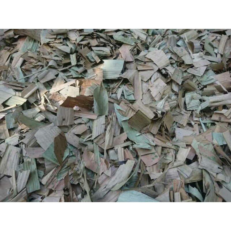 Jual Media Tanam Daun Bambu Kering 500gr | Shopee Indonesia
