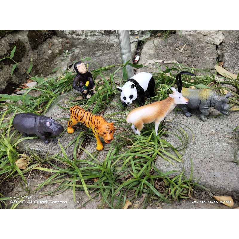Jual Mainan Hewan Monyet Beruang Set 6 Wild Animals Mainan Figure ...