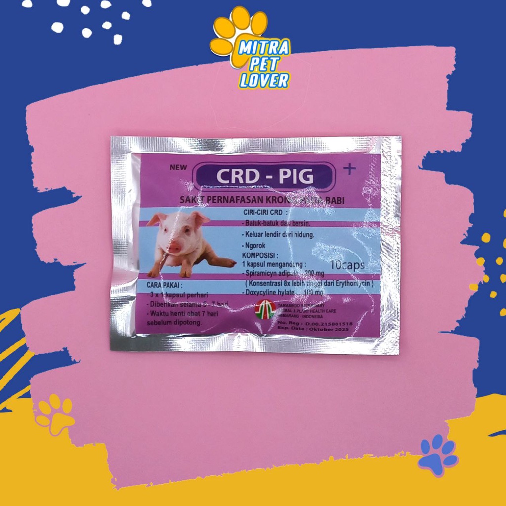 Jual OBAT ANTI INFEKSI PERNAFASAN BABI - CRD PIG KAPSUL- ATASI SAKIT ...