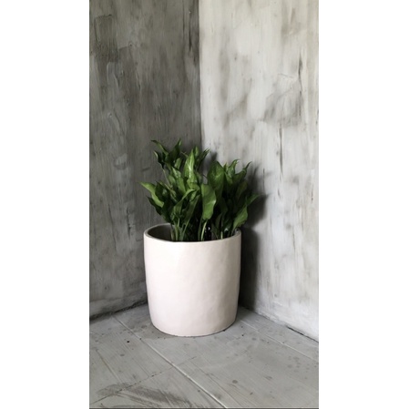 Jual Pot besar putih/ pot terracotta / pot 30 cm (PREMIUM) | Shopee ...
