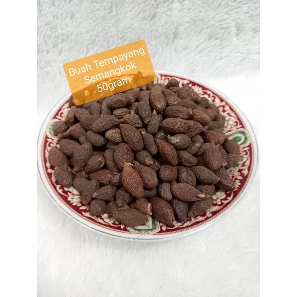 Jual Buah Tempayang Semangkok 50gram / Pang Ta Hai / Malva Nut | Shopee ...