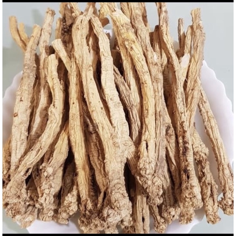 Jual Tong sim Radix Codonopsis no 4 dang shen 100 gr | Shopee Indonesia