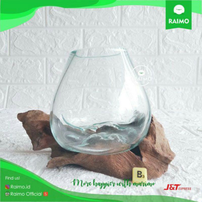 Jual Pot Kaca Tiup Unik Glasswood Wadah Marimo Ukuran 50 cm | Shopee ...