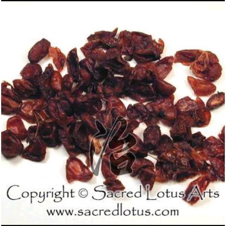 Jual 300 G GR GRAM SHAN ZHU YU SHAN ZAO ROU 山茱萸 山枣肉 CORNUS FRUIT ...